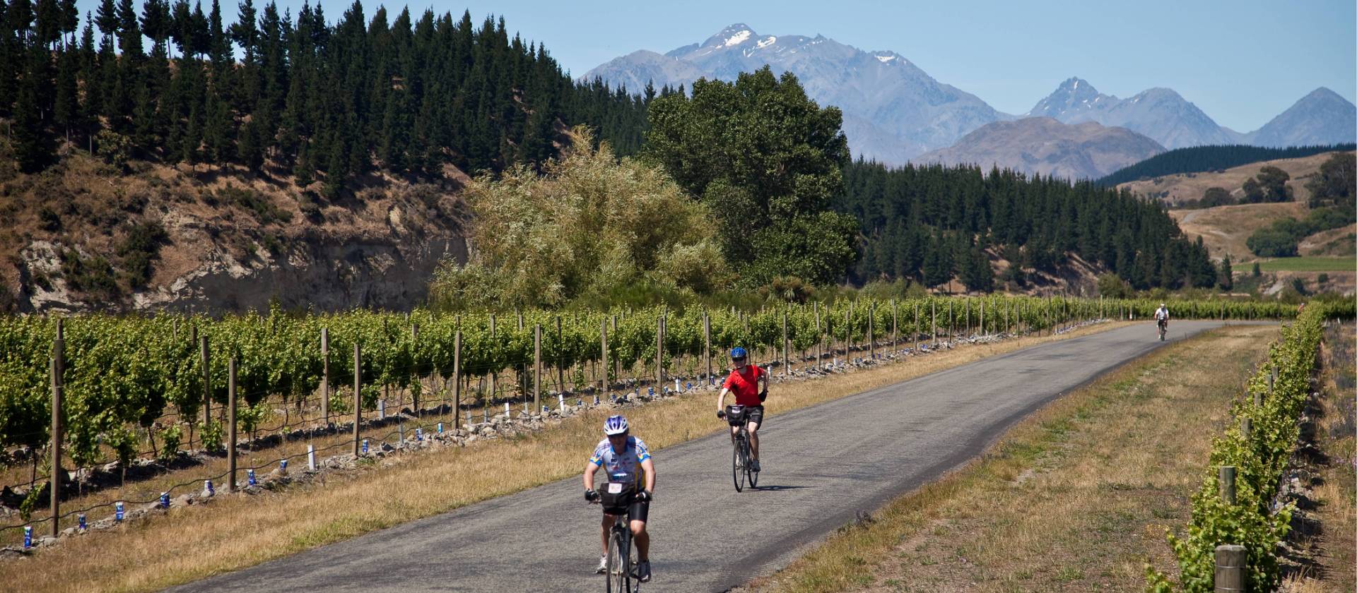 Molesworth High Country Cycling Tour